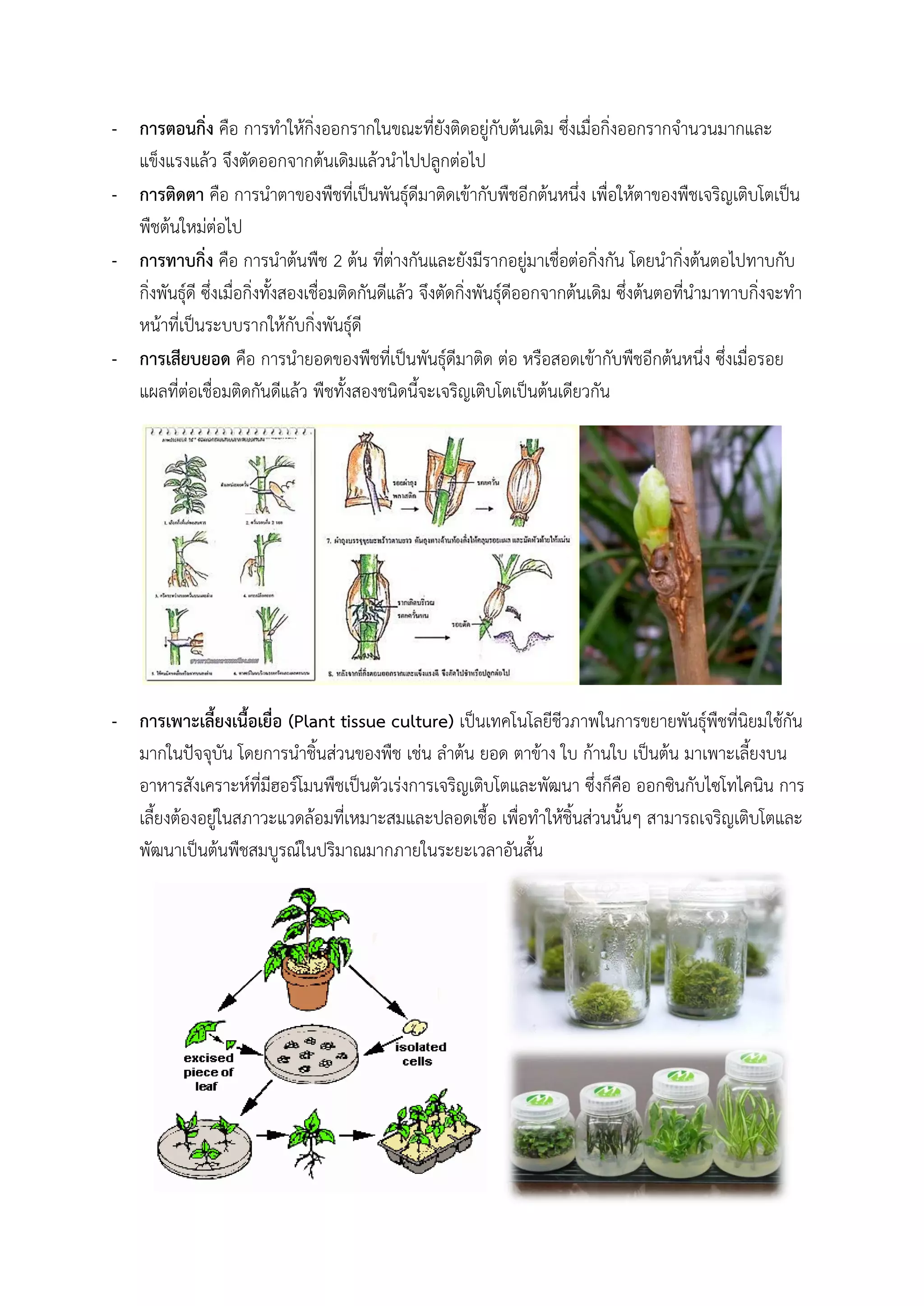 Lesson3 plantgrowth2 | PDF