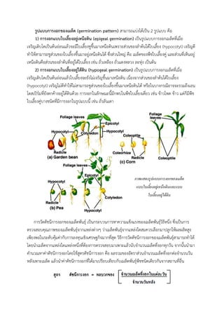 Lesson3 plantgrowth2 | PDF