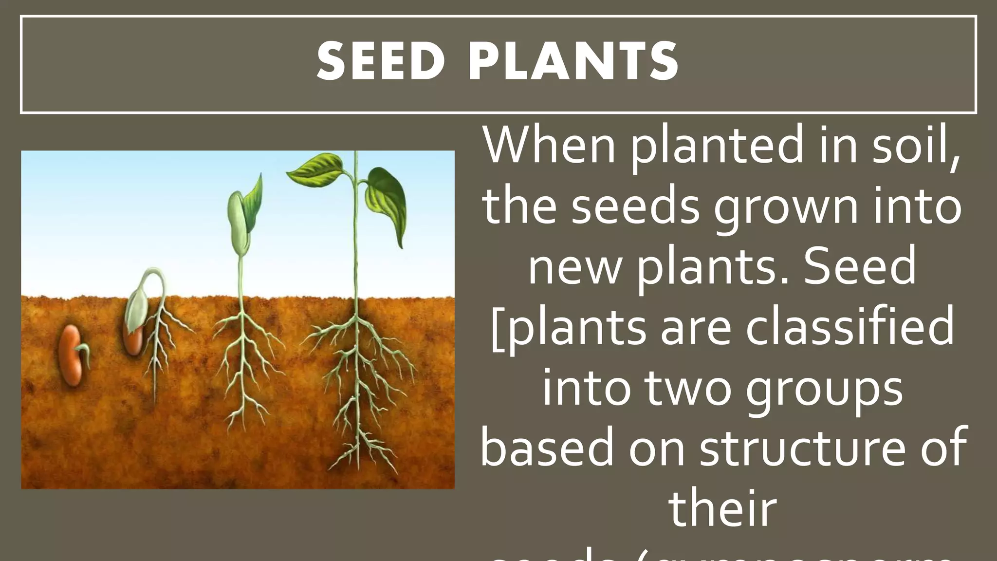 Lesson 3 Plant Reproduction- Grade 5 Science | PPTX