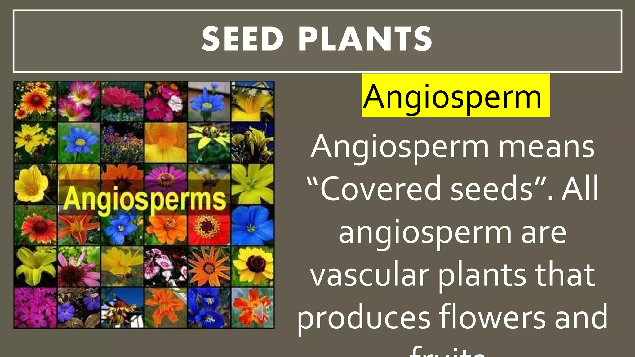 Lesson 3 Plant Reproduction- Grade 5 Science | PPTX
