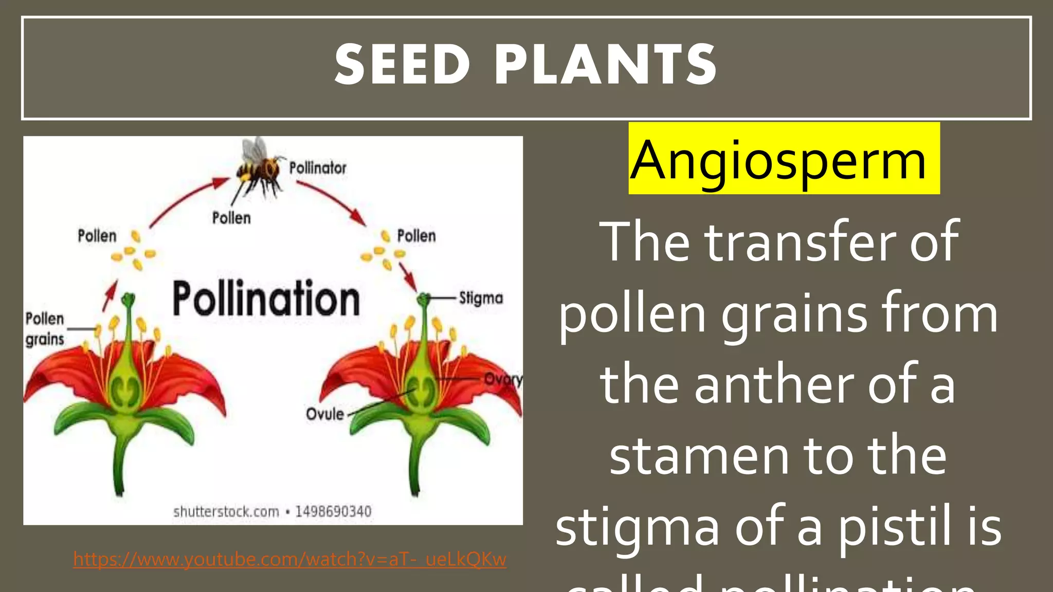 Lesson 3 Plant Reproduction- Grade 5 Science | PPTX