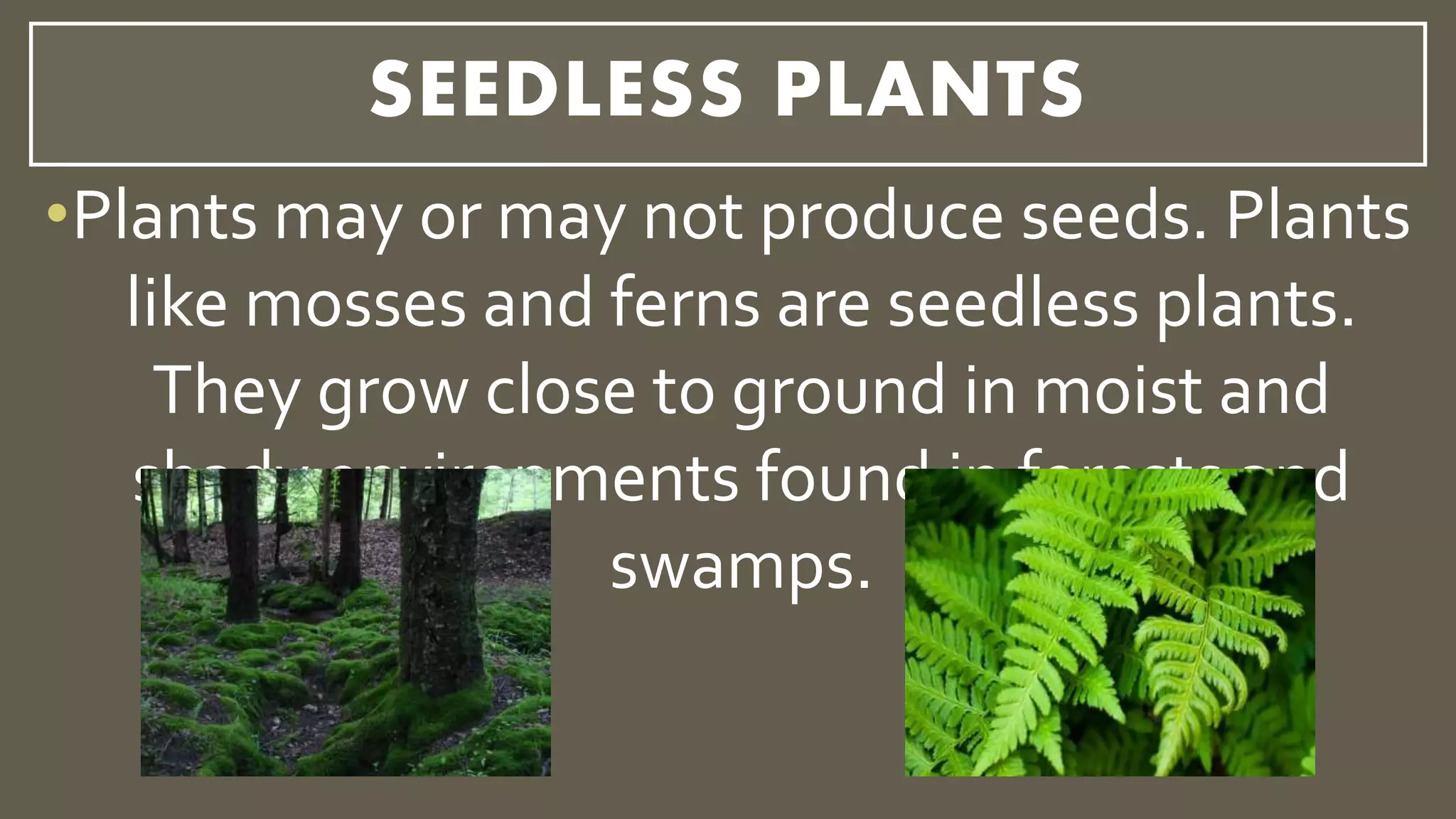 Lesson 3 Plant Reproduction- Grade 5 Science | PPTX