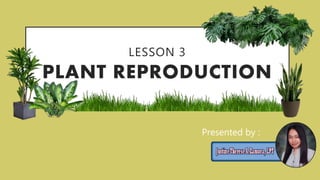 Lesson 3 Plant Reproduction- Grade 5 Science | PPTX
