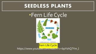 Lesson 3 Plant Reproduction- Grade 5 Science | PPTX