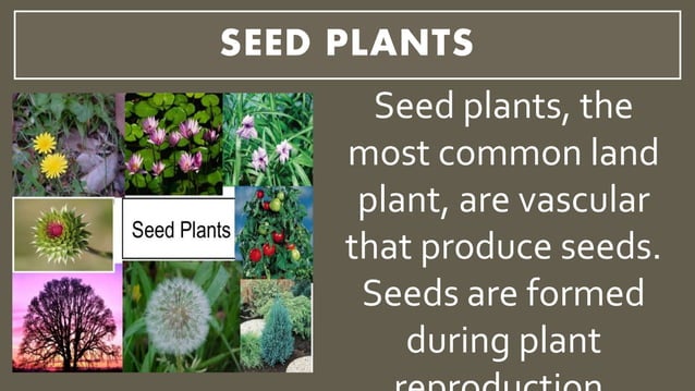 Lesson 3 Plant Reproduction- Grade 5 Science | PPTX
