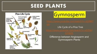Lesson 3 Plant Reproduction- Grade 5 Science | PPTX