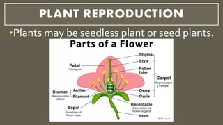 Lesson 3 Plant Reproduction- Grade 5 Science | PPTX