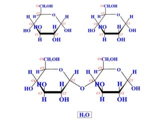Lesson 3 starch, glycogen and cellulose | PPTX