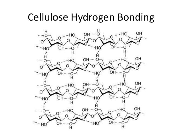 Starch Cellulose Glucose Carbohydrates Reaction Drawing Condensation ...