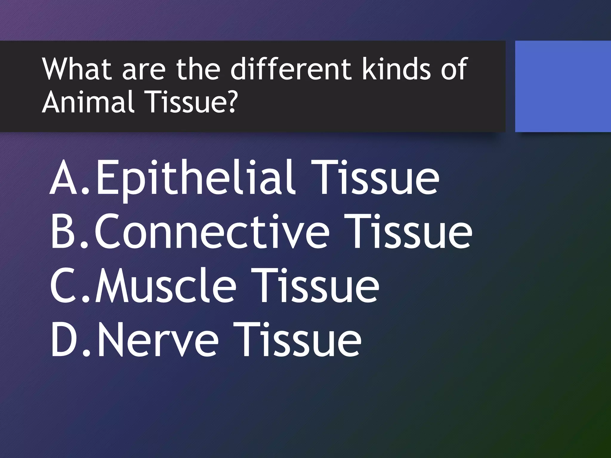 General Biology 1- Lesson 3: Structure and Functions of Animal Tissues ...