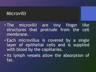 General Biology 1- Lesson 3: Structure and Functions of Animal Tissues ...
