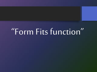 General Biology 1- Lesson 3: Structure and Functions of Animal Tissues ...