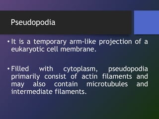 General Biology 1- Lesson 3: Structure and Functions of Animal Tissues ...
