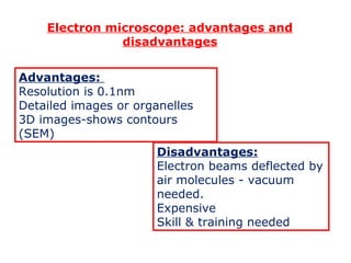Lesson 4 - Microscopes | PPT