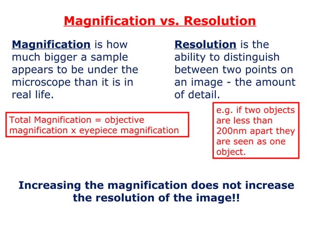 Lesson 4 - Microscopes | PPT | Physics | Science
