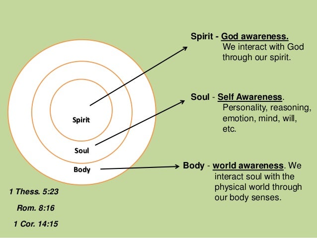 12 Best Soul vs spirit images in 2019 | Soul vs spirit, Spiritual ...