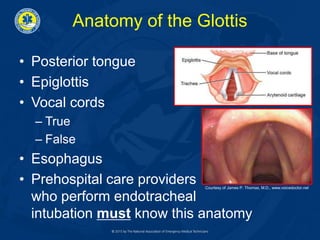 Lesson 4 | PPTX | Death, Injury, or Military Conflict | Sensitive Topics