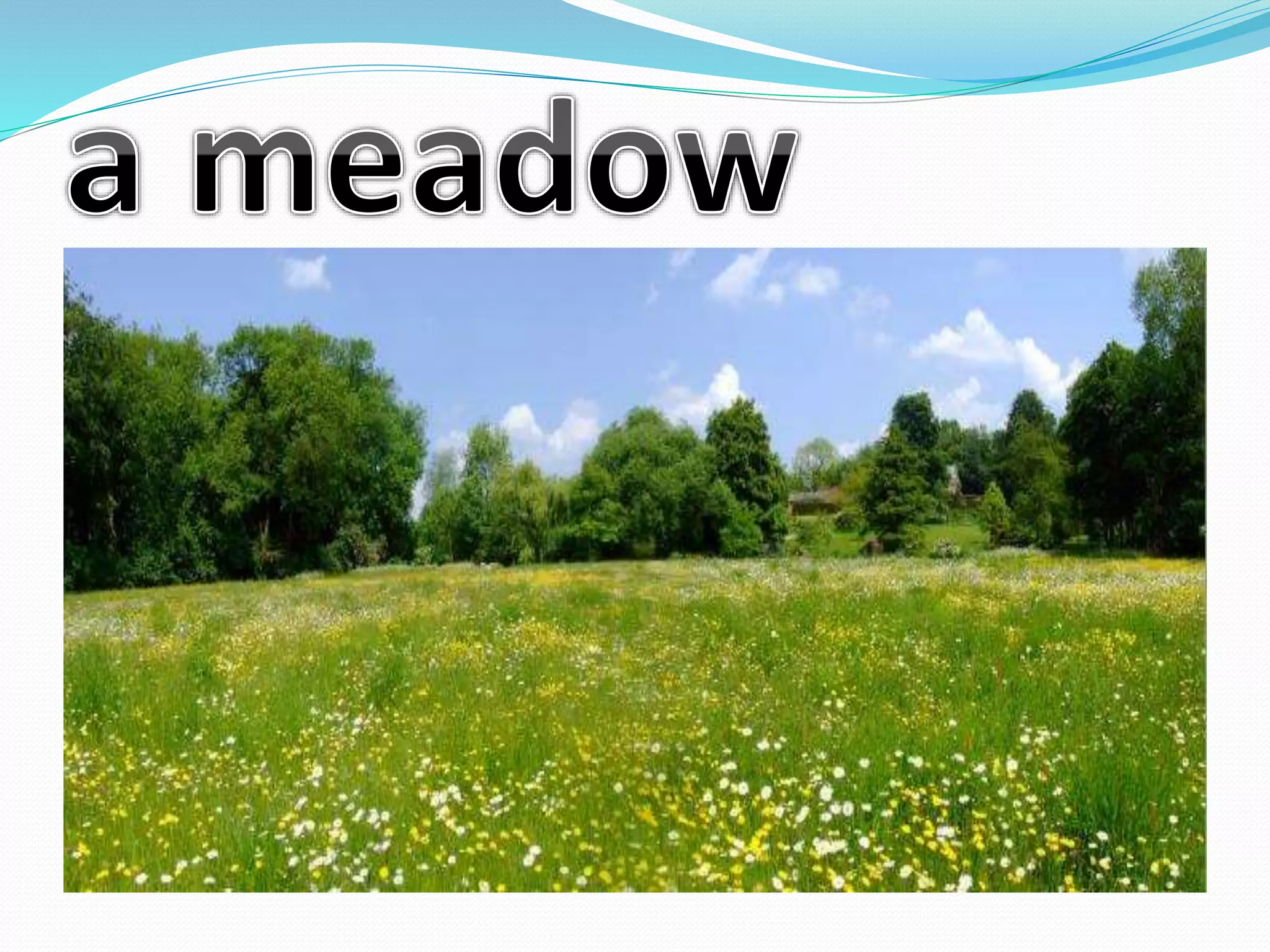 Form 5. Unit 8. Lesson 4. A blue-eyed country. | PPTX