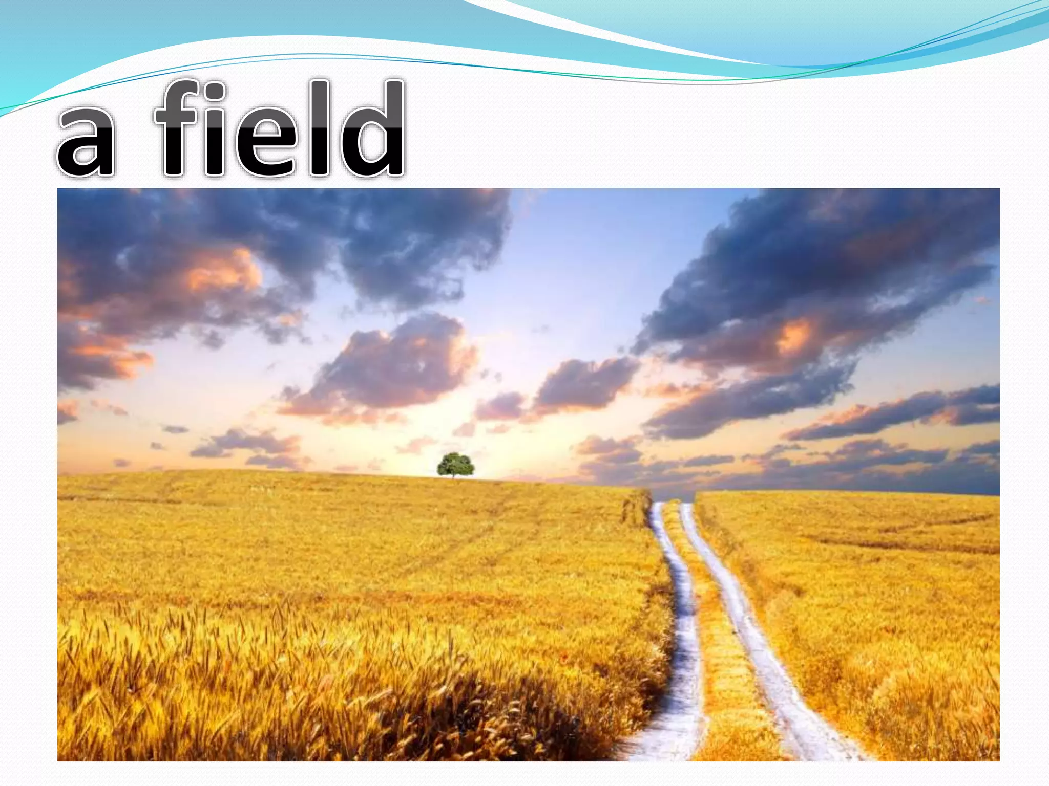 Form 5. Unit 8. Lesson 4. A blue-eyed country. | PPTX