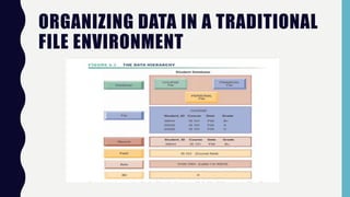 DATA RESOURCE MANAGEMENT | PPTX