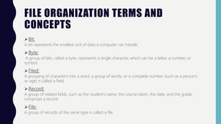 DATA RESOURCE MANAGEMENT | PPT