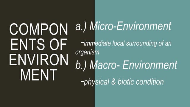 Lesson 4.1 man and h is environment. composition of environment | PPT