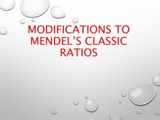 Lesson4_Modifications to Mendel’s Classic Ratios | PPT