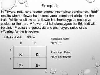 Lesson4_Modifications to Mendel’s Classic Ratios | PPT
