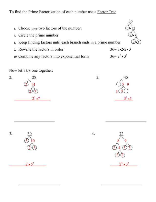Lesson 4 2 factors and prime factorization | PDF
