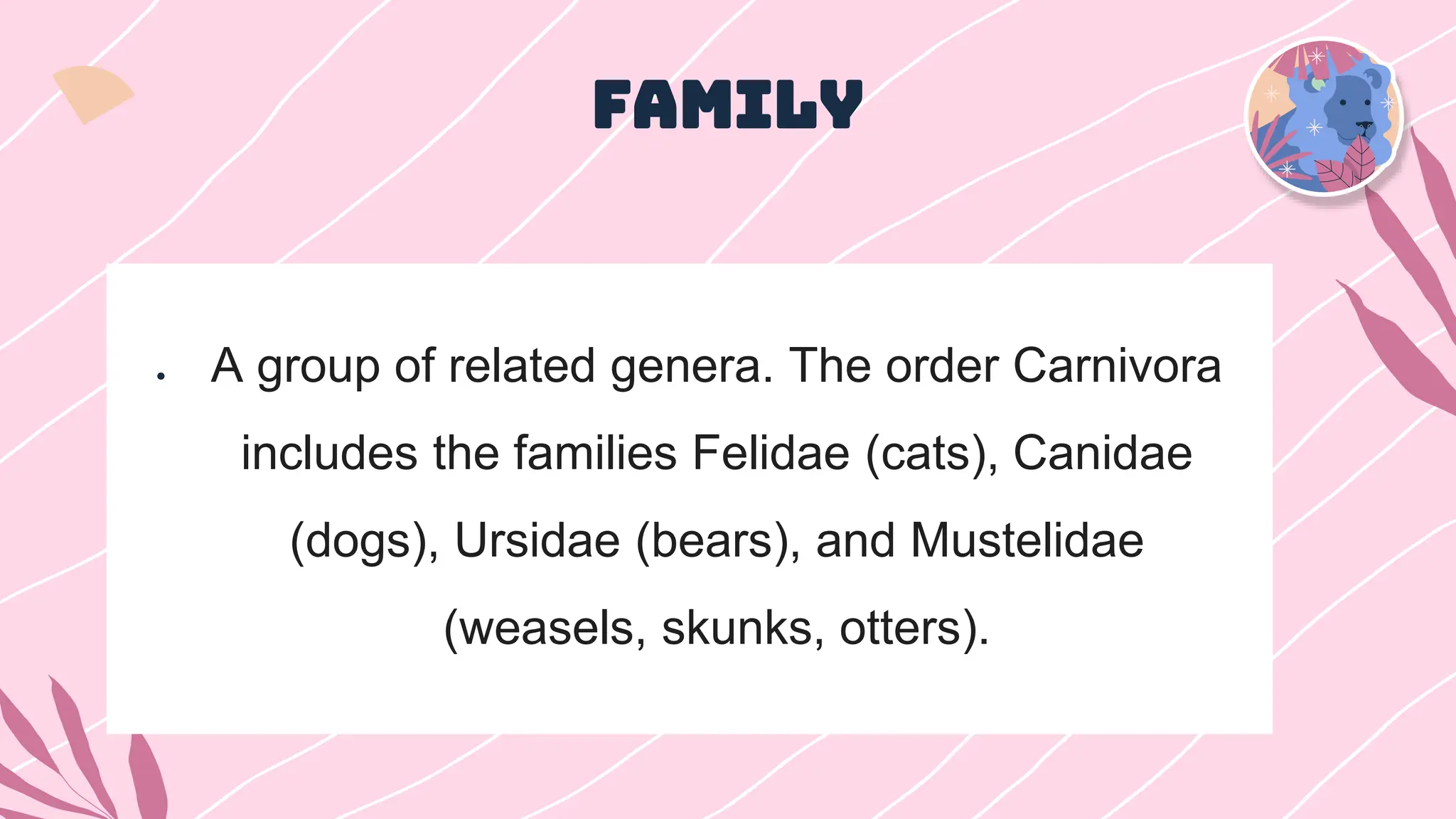 Animal Kingdom - phylum, class, order, etc | PPTX