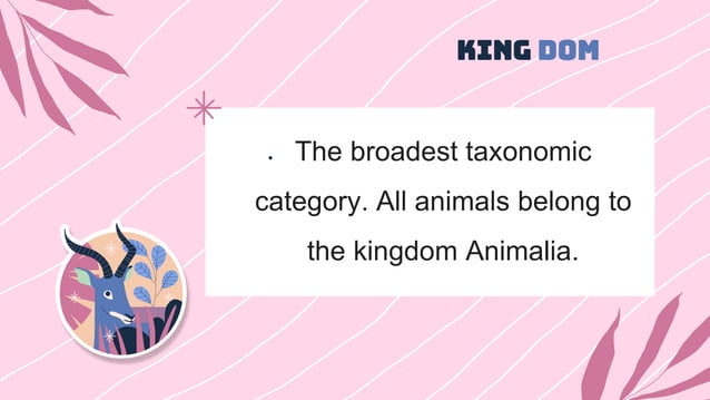 Animal Kingdom - phylum, class, order, etc | PPT