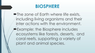 LESSON 4-Composition of environment,balance of nature and why we need ...