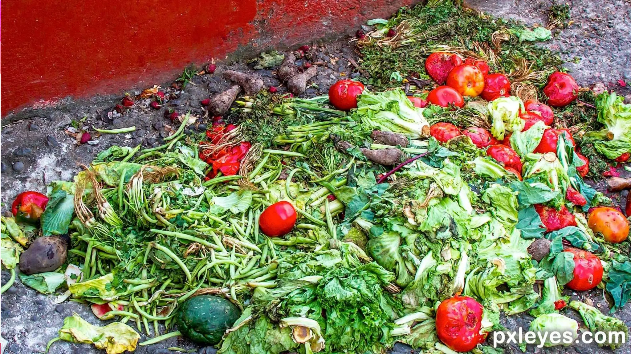 Lesson 4 - Diseases Sickness Resulting from Exposure to Decaying ...