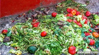 Lesson 4 - Diseases Sickness Resulting from Exposure to Decaying ...