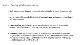 lesson_4_-_dna_replication_and_repair__ppt_ (1).pdf