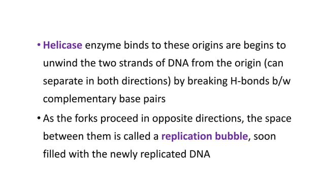 lesson_4_-_dna_replication_and_repair__ppt_ (1).pdf