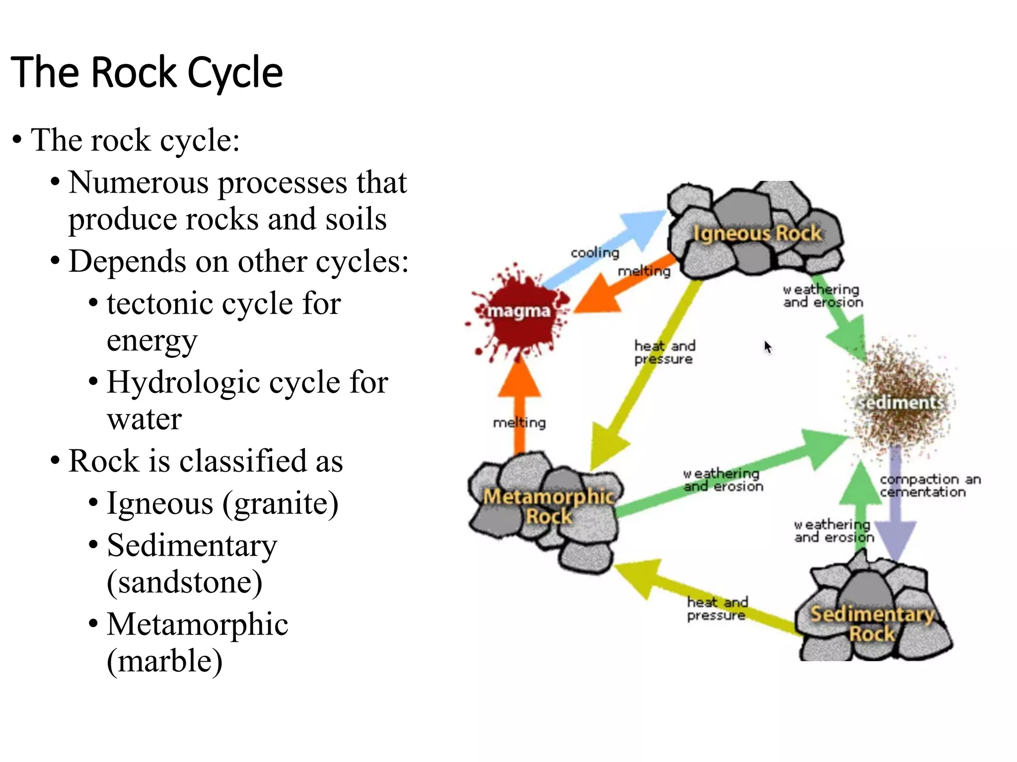 Lesson 4 Ecosystem functions and ecosystem services | PDF