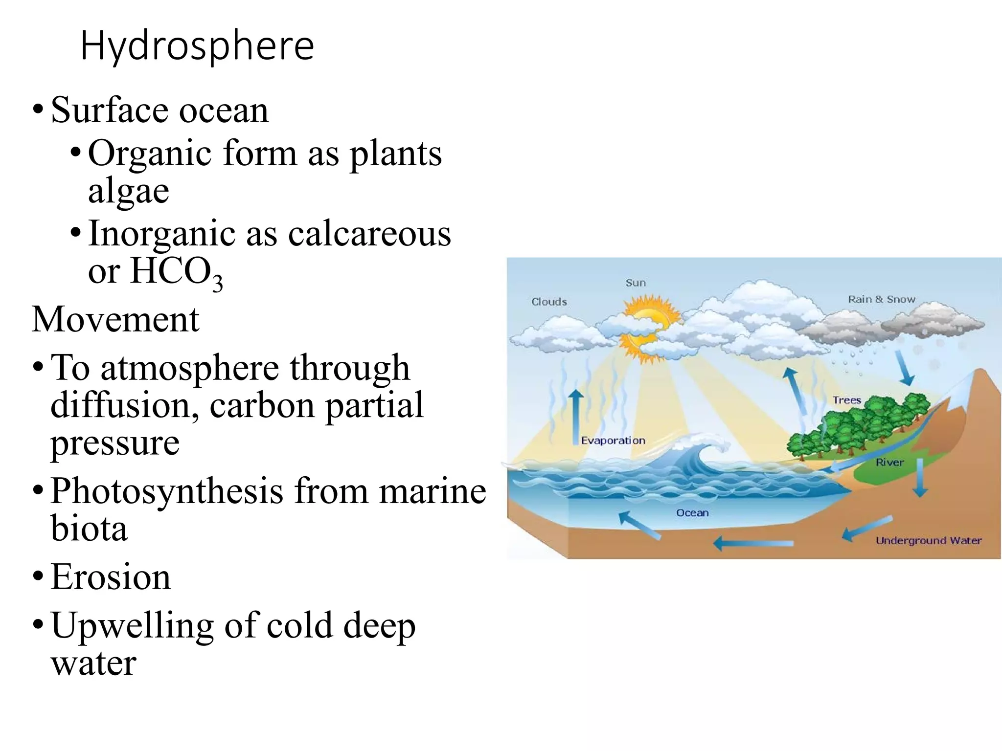 Lesson 4 Ecosystem functions and ecosystem services | PDF