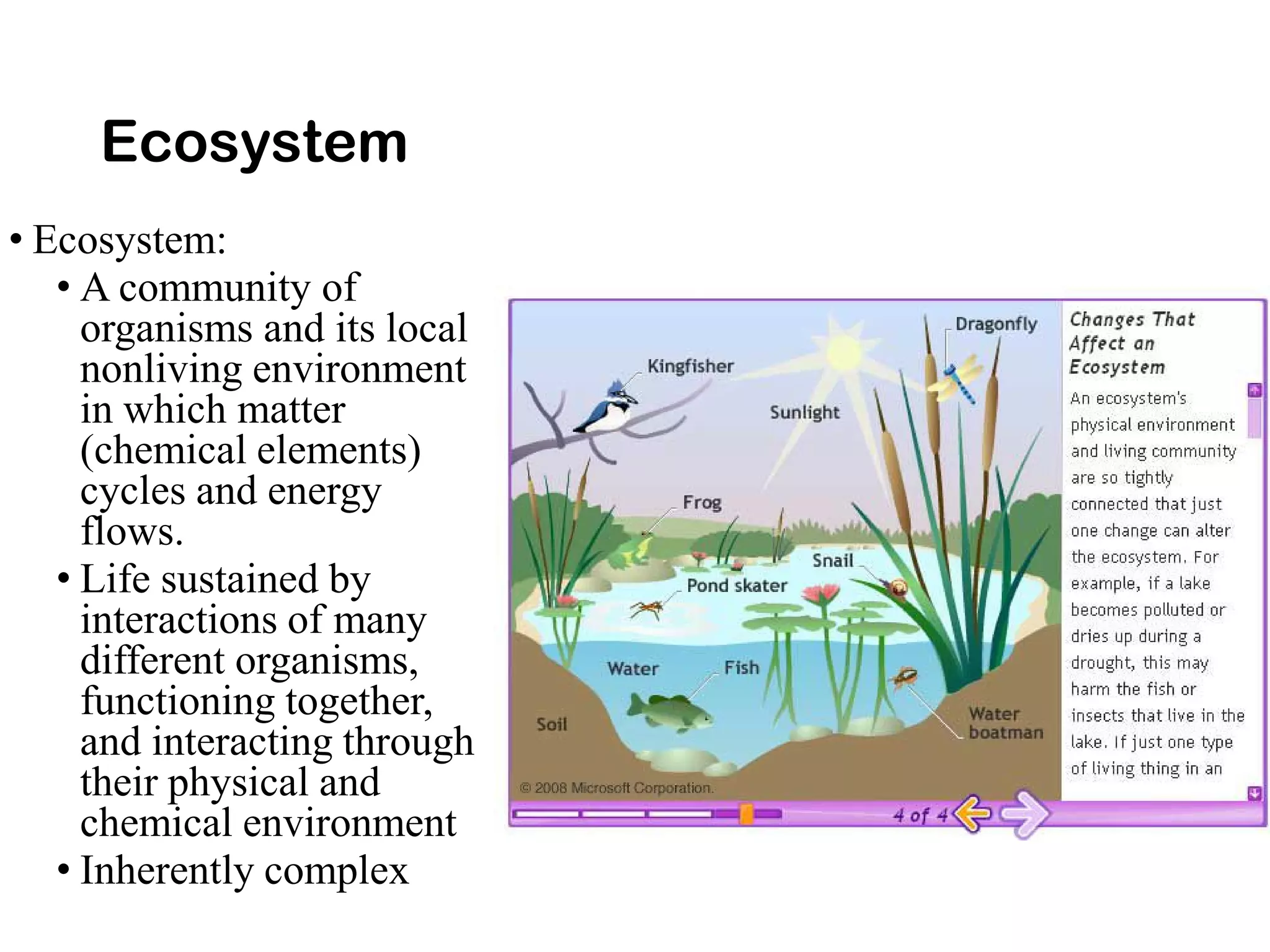 Lesson 4 Ecosystem functions and ecosystem services | PDF