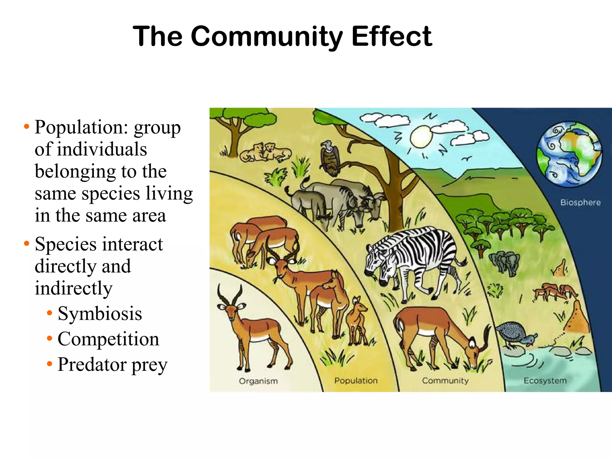 Lesson 4 Ecosystem functions and ecosystem services | PDF