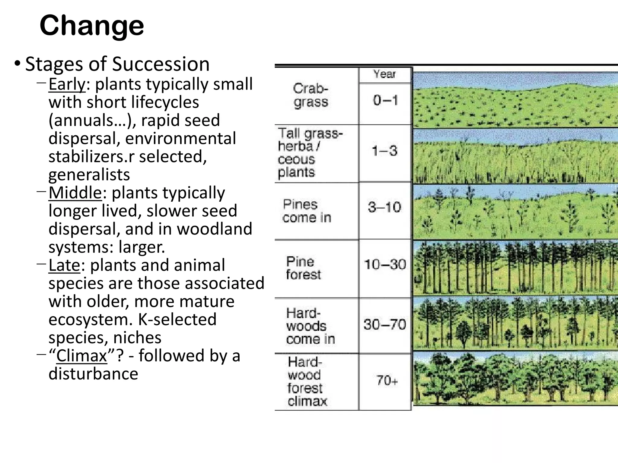 Lesson 4 Ecosystem functions and ecosystem services | PDF