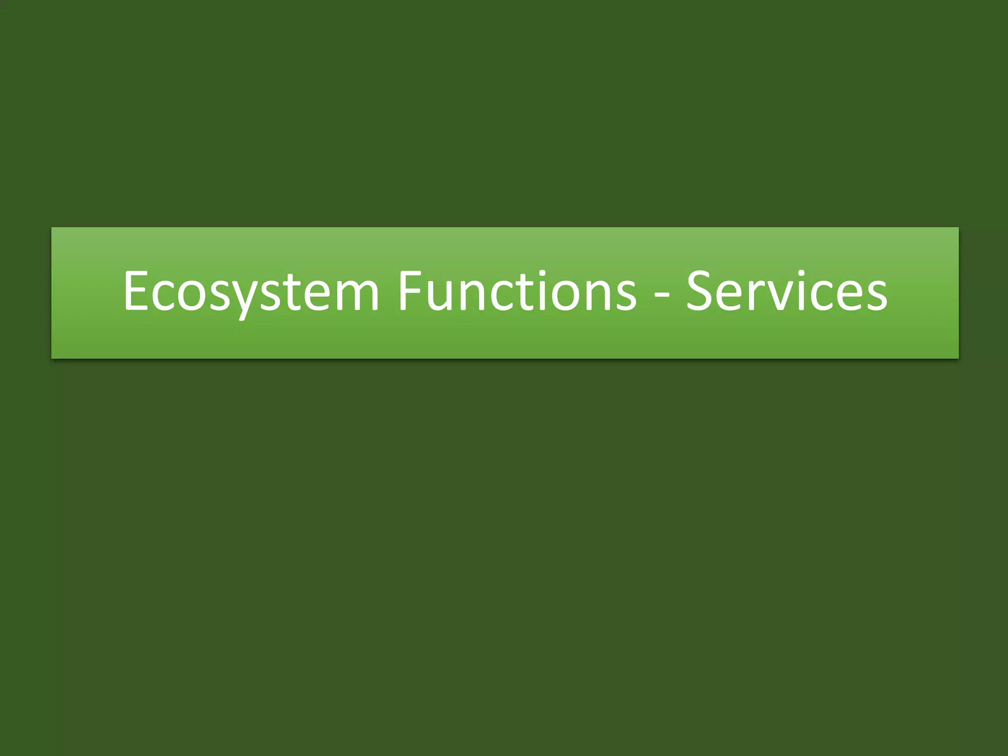 Lesson 4 Ecosystem functions and ecosystem services | PDF