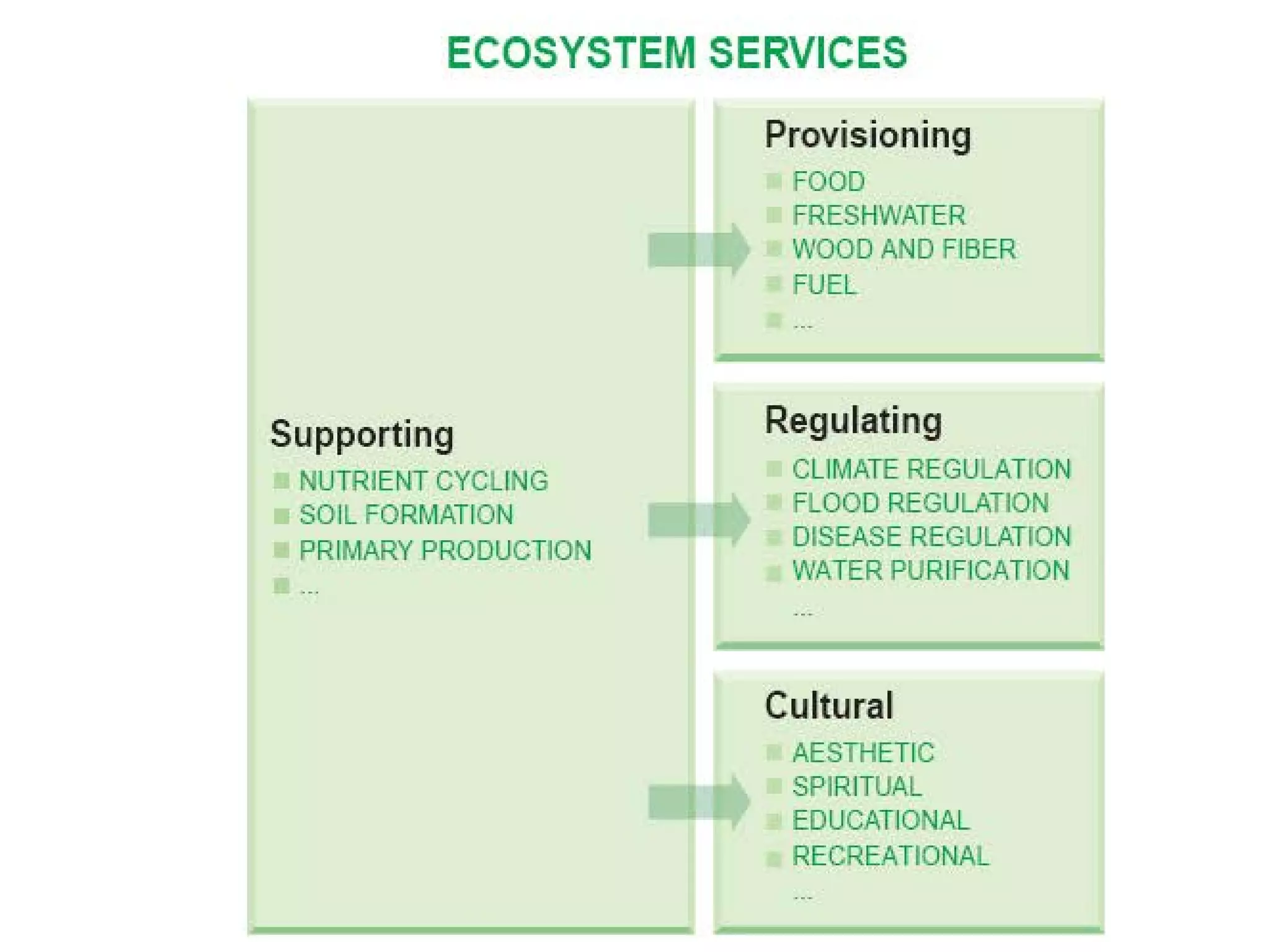 Lesson 4 Ecosystem functions and ecosystem services | PDF