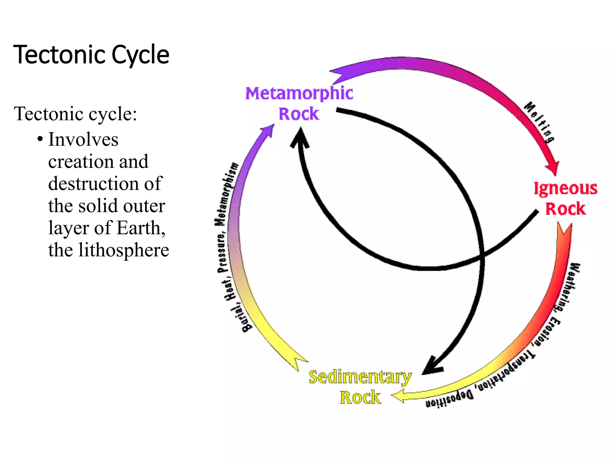 Lesson 4 Ecosystem functions and ecosystem services | PDF