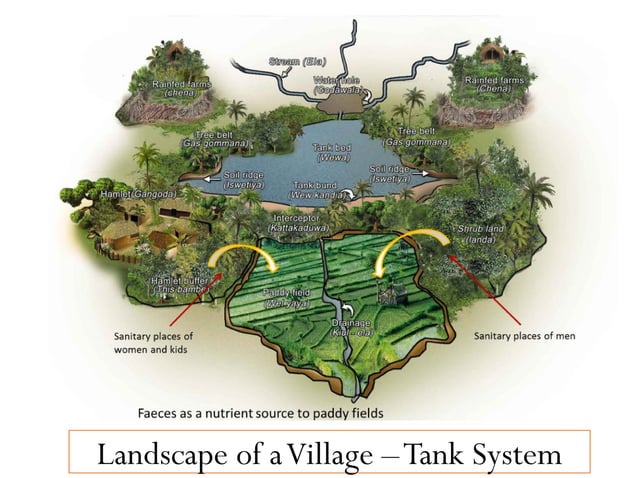 Lesson 4 Ecosystem functions and ecosystem services | PDF