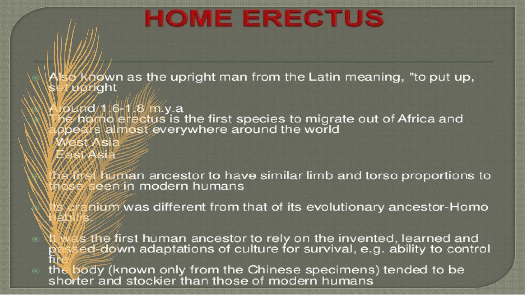 LESSON 4 EVOLUTION OF MAN POWERPOINT PRE | PPT