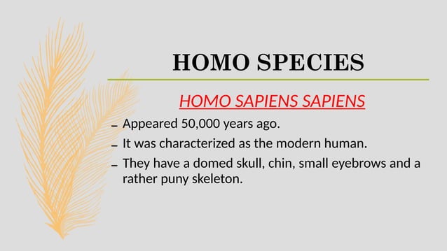 LESSON 4 EVOLUTION OF MAN POWERPOINT PRE | PPT