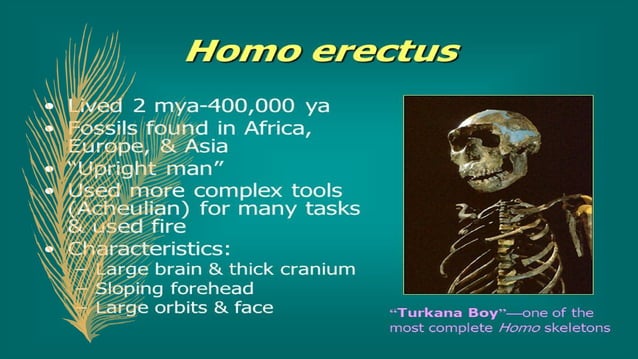 LESSON 4 EVOLUTION OF MAN POWERPOINT PRE | PPT