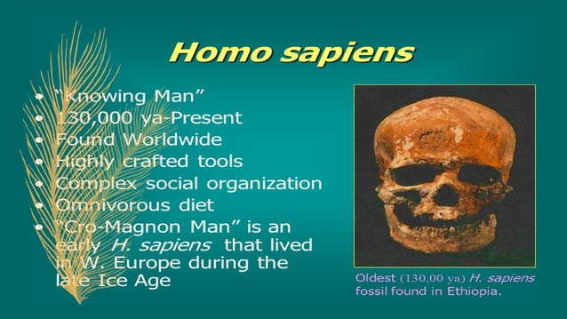 LESSON 4 EVOLUTION OF MAN POWERPOINT PRE | PPT