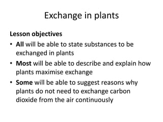 Mrs Abrey Lesson 4 exchange in plants | PPTX | Gardening | Home & Garden